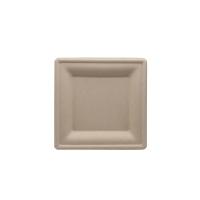 China Square 8in Eco Products Home Compostable Sugarcane Plates Biodegradable Disposable for sale