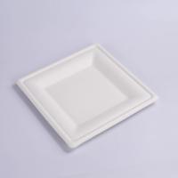 China 10 Inch Green Compostable White Square Paper Green Biodegradable Sugarcane Plates for sale
