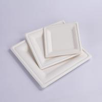 China 10 Inch Green Compostable White Square Paper Green Biodegradable Sugarcane Plates for sale