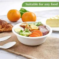 China 16oz Compostable Sugarcane Bagasse Salad Soup Bowls with Lids Biodegradable Eco Friendly Disposable for sale