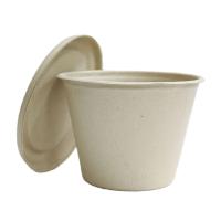 China Environmental Disposable Compostable Sugarcane Bagasse Cup Lid For Takeaway Cup 16 Oz for sale