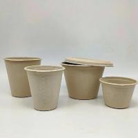 China Sustainable Biodegradable 4oz Sugarcane Bagasse Disposable Hot Cups With Lids for sale