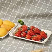 China Natural Color Rectangular Compostable Sugarcane Bagasse Sustainable Sushi Trays Plates for sale