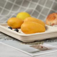 China Party Compostable Fruit Meat 220ml Sugarcane Bagasse Tray Disposable Biodegradable for sale