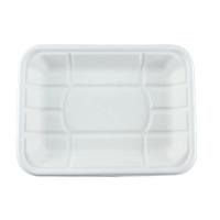 China Paper Fruit 8in Sugarcane Bagasse Tray Pulp Eco Biodegradable Sustainable for sale