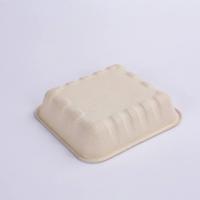 China 140ml Disposable Biodegradable Sugarcane Bagasse Tray 155x145x35mm Food Vegetable Plate for sale