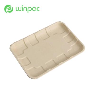 China 200ml Compostable Bagasse Meat Tray 202x141mm Biodegradable Sugarcane Disposable for sale