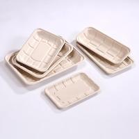 China 200ml Compostable Bagasse Meat Tray 202x141mm Biodegradable Sugarcane Disposable for sale