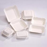 China Sugarcane Bagasse Disposable Food Container 8 Inch Eco Friendly Takeaway Clamshell 200pcs for sale