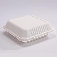 China Sugarcane Bagasse Disposable Food Container 8 Inch Eco Friendly Takeaway Clamshell 200pcs for sale