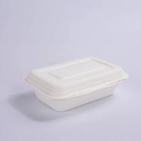 China Hotel Microwavable Sugarcane Bagasse Clamshell Disposable Take Away Bagasse Lunch Box for sale