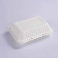 China 9 X 6In Sugarcane Bagasse Clamshell Biodegradable Disposable Lunch Box for sale