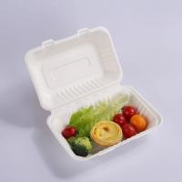 China 9 X 6In Sugarcane Bagasse Clamshell Biodegradable Disposable Lunch Box for sale