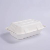 China White Biodegradable Sugarcane Bagasse Clamshell Lunch Box 600ml Takeaway Food Container for sale