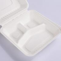 China Eco Friendly Sugarcane Bagasse Clamshell Biodegradable Take Away Food Packaging for sale