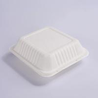 China 2 Compartments Sugarcane Clamshell Box Disposable Sugar Cane Take Out Containers for sale