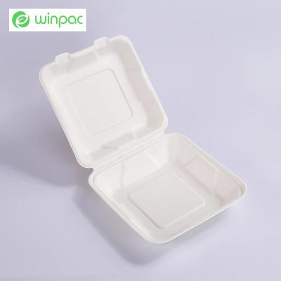 China Sustainable Compostable Sugarcane Bagasse Clamshell Takeaway Containers 8 Inch for sale