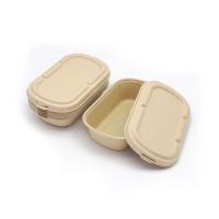 China Biodegradable Sugarcane Bagasse 1000ml Food Container Microwave Safe Lunch Box for sale
