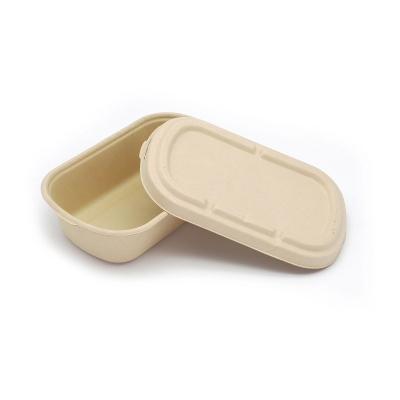 China Biodegradable Sugarcane Bagasse 1000ml Food Container Microwave Safe Lunch Box for sale