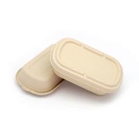 China Biodegradable Sugarcane Bagasse 1000ml Food Container Microwave Safe Lunch Box for sale