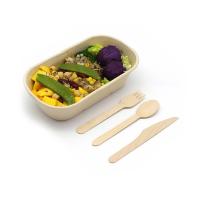China Biodegradable Sugarcane Bagasse 1000ml Food Container Microwave Safe Lunch Box for sale