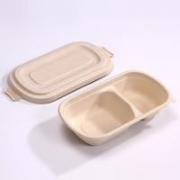 China Biodegradable Sugarcane Bagasse 1000ml 2 Compartment Food Container Takeaway Lunch Box for sale