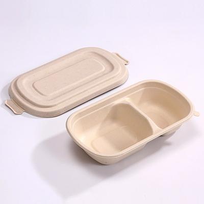 China Biodegradable Sugarcane Bagasse 1000ml 2 Compartment Food Container Takeaway Lunch Box for sale