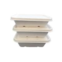 China Eco Friendly Compostable 750ml Sugarcane Bagasse Take Out Containers With Lid for sale