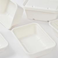 China Disposable 550ml Sugarcane Bagasse Box Biodegradable Food Container With Lid for sale