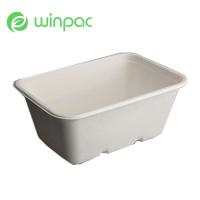 China 1000ml Sugarcane Bagasse Box Food Box With Lid Disposable Compostable for sale