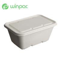 China 1000ml Sugarcane Bagasse Box Food Box With Lid Disposable Compostable for sale
