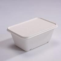 China 1000ml Sugarcane Bagasse Box Food Box With Lid Disposable Compostable for sale