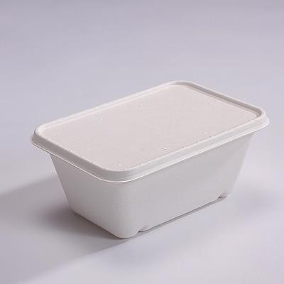 China 1000ml Sugarcane Bagasse Box Food Box With Lid Disposable Compostable for sale