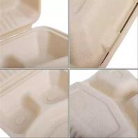 China Biodegradable Eco Friendly 3 Compartment Bagasse Clamshell Containers 8 10 Inch for sale
