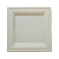 China Compostable 8 Inch Square Biodegradable Bagasse Plates Food Dinner Pulp Molded Plate for sale