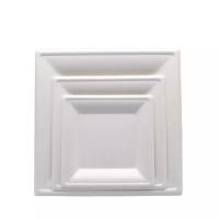 China Compostable 8 Inch Square Biodegradable Bagasse Plates Food Dinner Pulp Molded Plate for sale