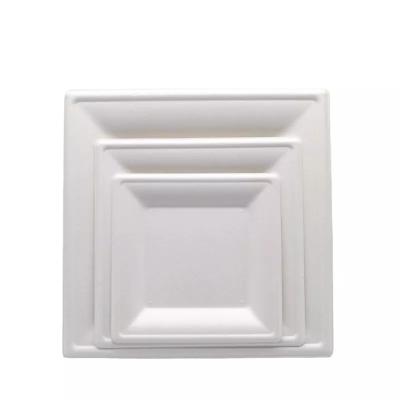 China Compostable 8 Inch Square Biodegradable Bagasse Plates Food Dinner Pulp Molded Plate for sale