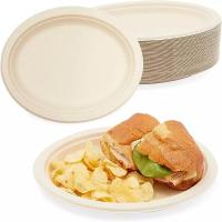China 230mm Biodegradable Compostable Sugarcane Plates Bagasse White Oval Plates for sale
