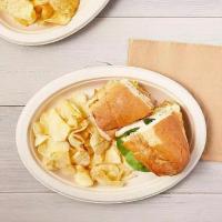 China 230mm Biodegradable Compostable Sugarcane Plates Bagasse White Oval Plates for sale