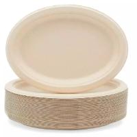 China 230mm Biodegradable Compostable Sugarcane Plates Bagasse White Oval Plates for sale