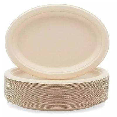 China 230mm Biodegradable Compostable Sugarcane Plates Bagasse White Oval Plates for sale