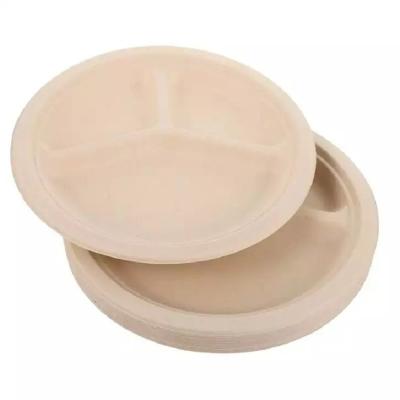 China 9 10inch Compostable Sugarcane Plates Degradable White Heavy Duty Paper Plates for sale