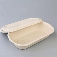 China 850ml 1000ml Compostable Sugarcane Container Disposable Take Away Lunch Box for sale