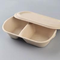 China Eco Friendly Wheat Straw 2 Compartment Disposable Food Containers Lunch Box With Lid for sale