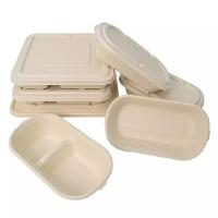 China Disposable Compostable Take Away Food Containers Sugarcane Bagasse Tableware Box for sale