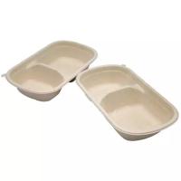 China Hotel Biodegradable Compostable Sugarcane Container 100C Fast Food Takeaway Packaging for sale