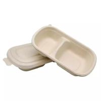 China Hotel Biodegradable Compostable Sugarcane Container 100C Fast Food Takeaway Packaging for sale
