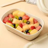 China 100 Biodegradable Packing Sugarcane Clamshell Food Container Disposable for sale