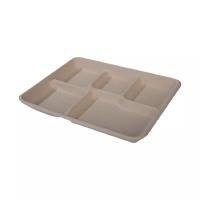 China Biodegradable 5 Compartment Disposable Food Tray Sugarcane Bagasse Biodegradable Pulp Tray for sale