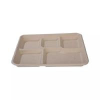 China Biodegradable 5 Compartment Disposable Food Tray Sugarcane Bagasse Biodegradable Pulp Tray for sale
